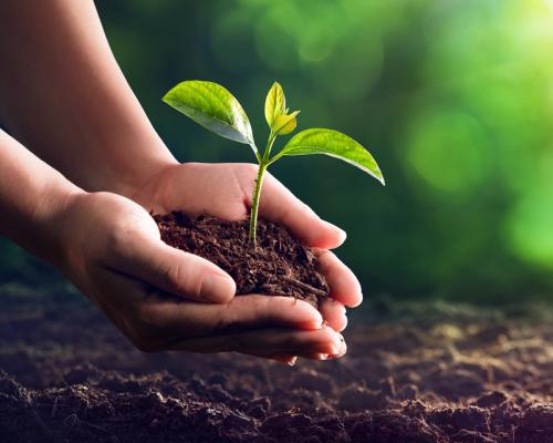 Sustainability | Hartmann&Forbes