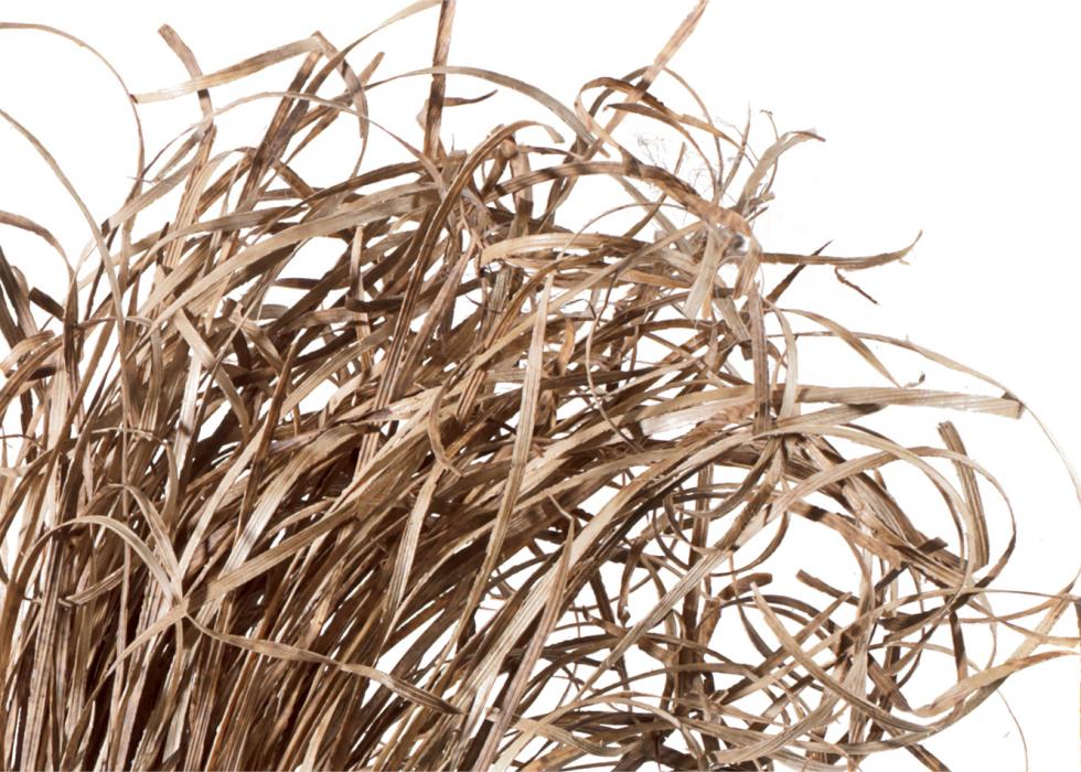 Natural Fibers | HARTMANN&FORBES