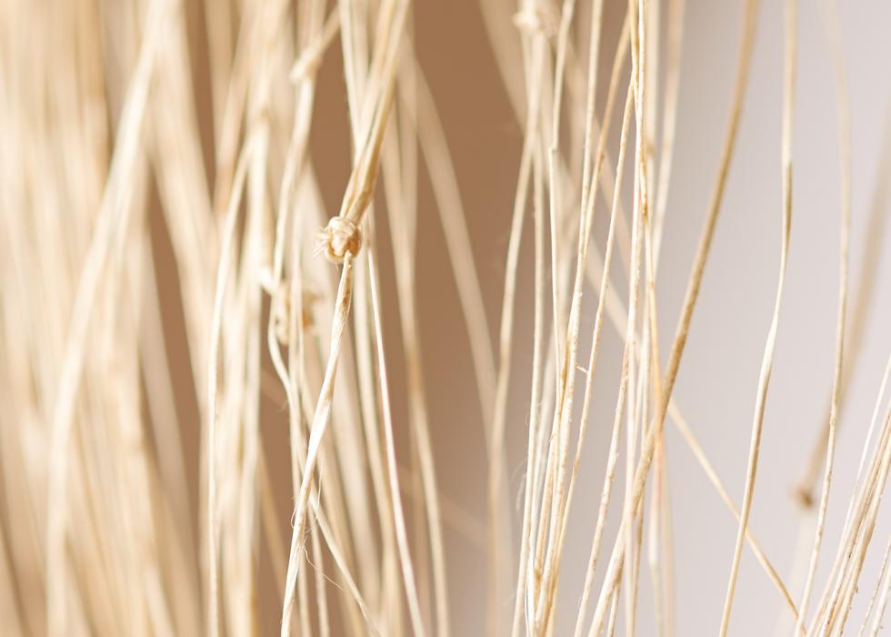 Natural Fibers | HARTMANN&FORBES