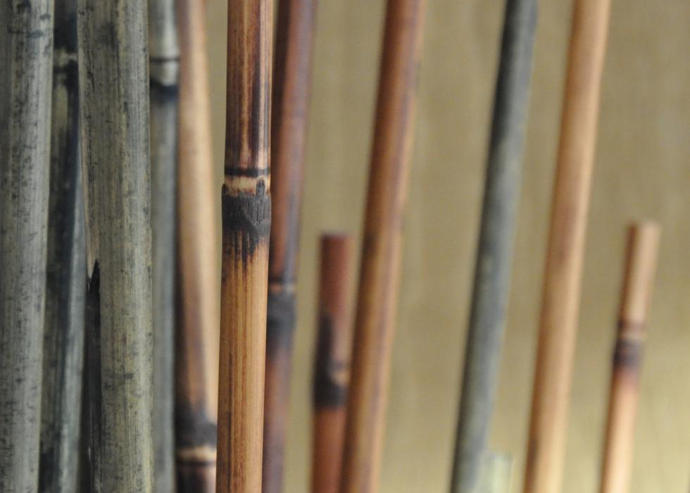 Natural Fibers | HARTMANN&FORBES